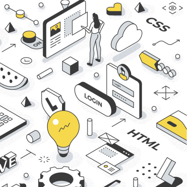 Web Developer - Binary Vision