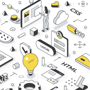 Business Development Executive - Binary Vision